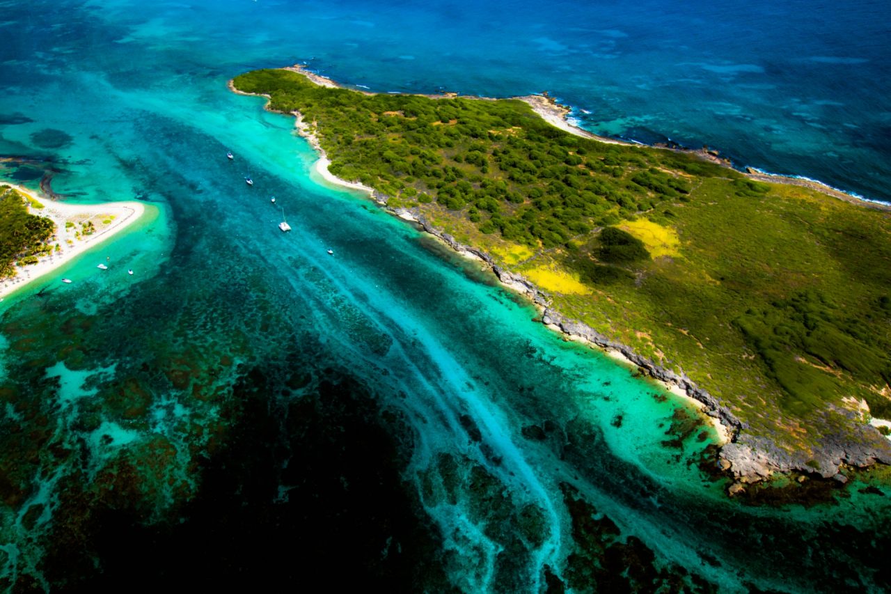 Guadeloupe, l'île papillon - Terres sauvages