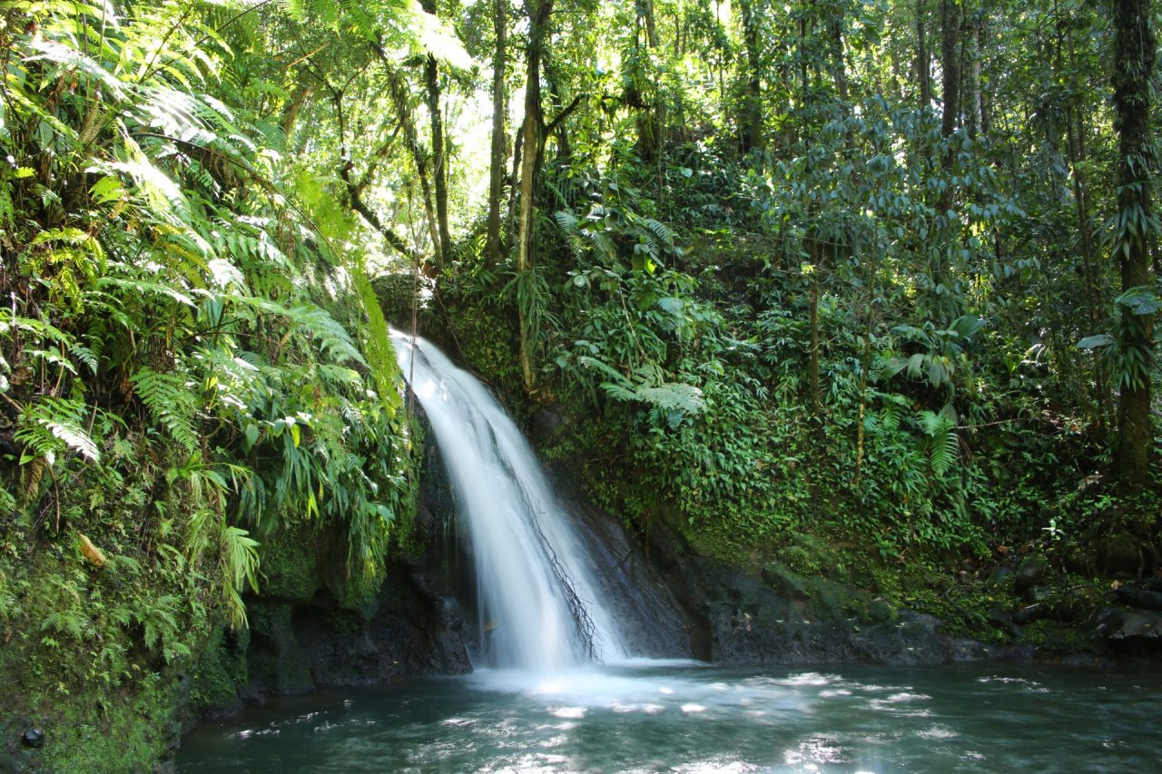 Guadeloupe, l'île papillon - Terres sauvages